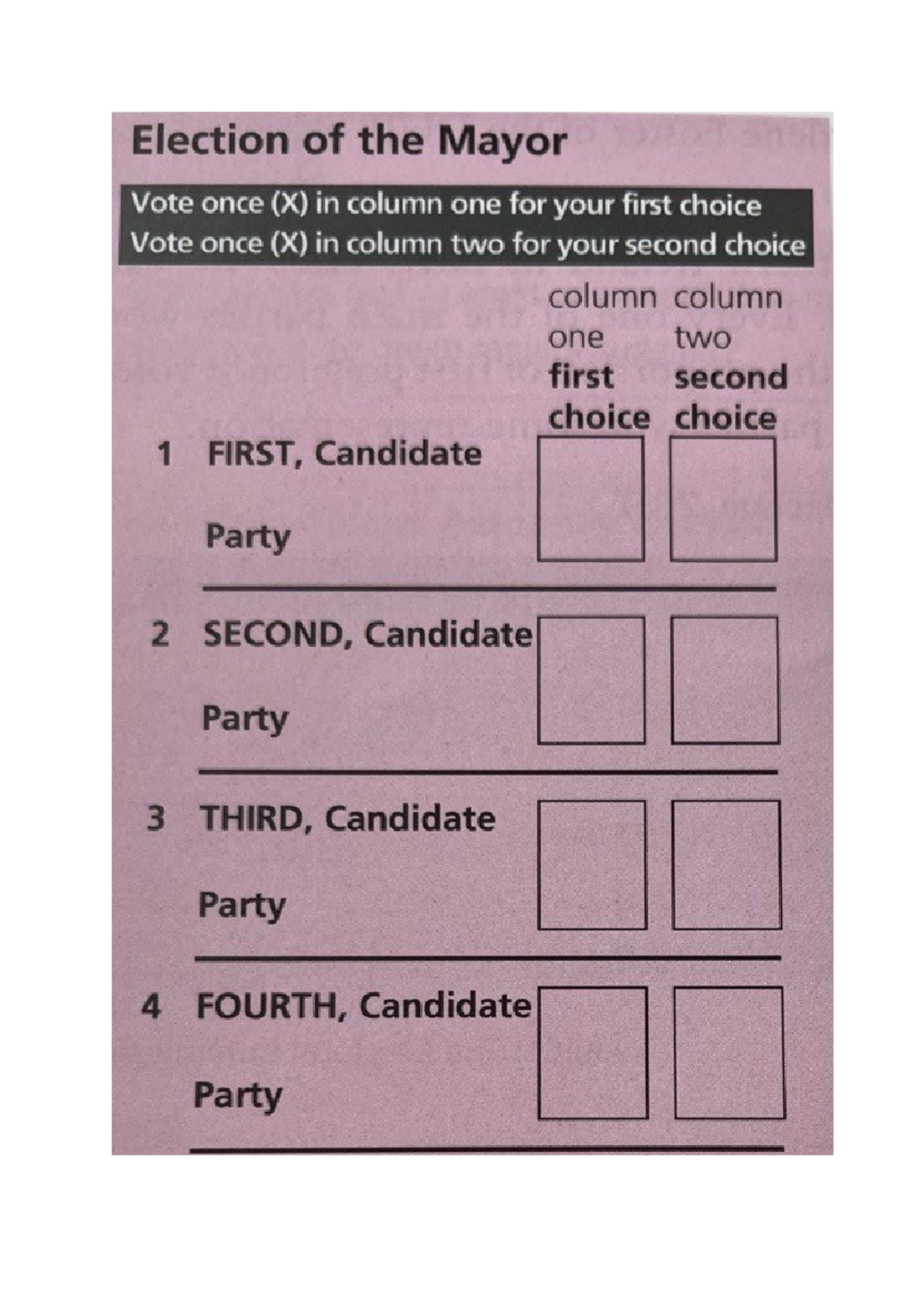 Politics mock election - Studocu