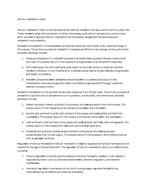 Cellular Differentiation notes - Cellular differentiation notes ...