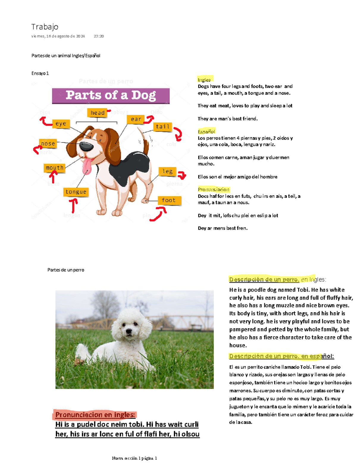 Presentacion partes de un perro - Partes de un animal Ingles/Español ...
