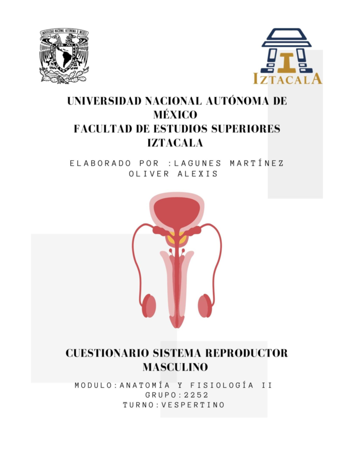 Cuestionario reproductor masculino - CUESTIONARIO SISTEMA REPRODUCTOR ...