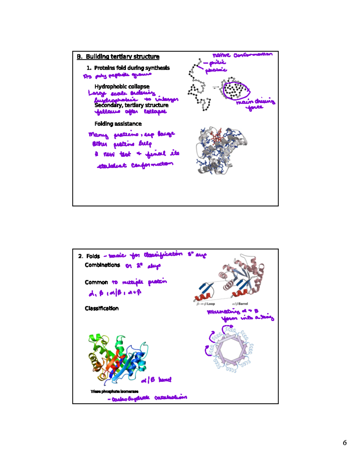 Basic Bio Chemistry 10 - native conformation philie phobic As ...