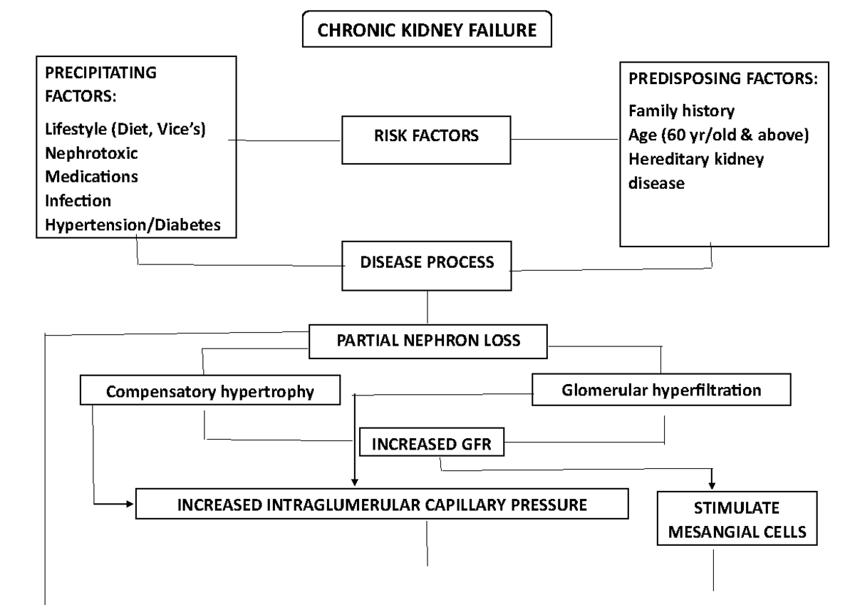 Patho - idk - CHRONIC KIDNEY FAILURE PRECIPITATING FACTORS: Lifestyle ...
