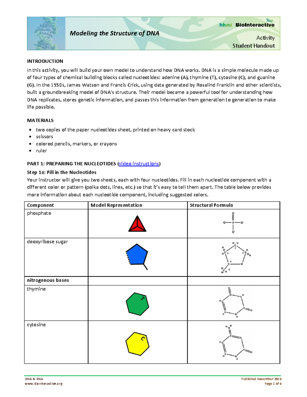 DNAModel-Student HO-act - DNA & RNA Published November 2019 Activity ...