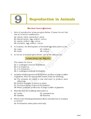 Scope and Delimitation Lesson Plan - DAILY LESSON PLAN School Navotas ...