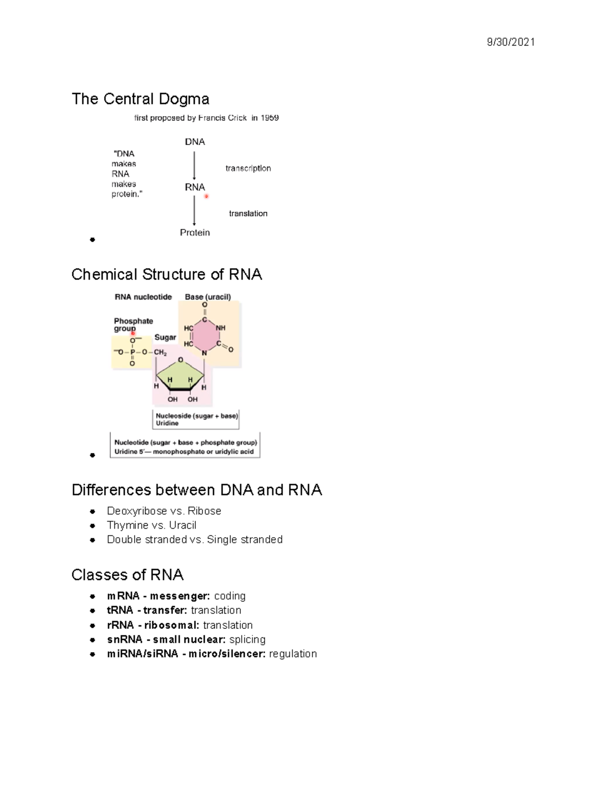 Transcription & RNA Processing Notes (BIO SC 2200) - The Central Dogma ...