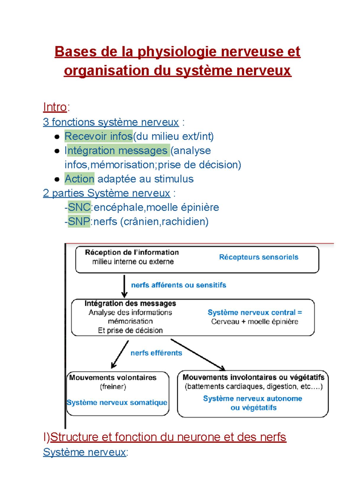 3.03A Bases de la physiologie nerveuse et organisation du système nerveux :L2 - Bases de la ...