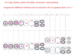 Cell Theory Intro and Reading - Cell Structure and Function – CELL ...