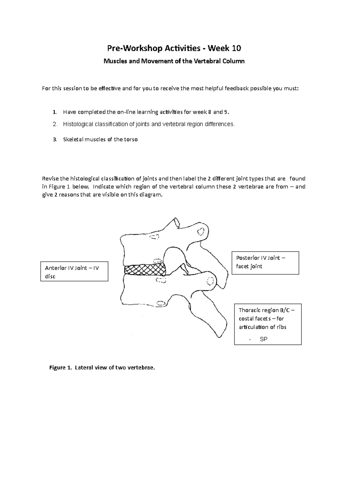 HBS1HBB Pre-Workshop Activities 10 2020 - Pre-Workshop Activities ...