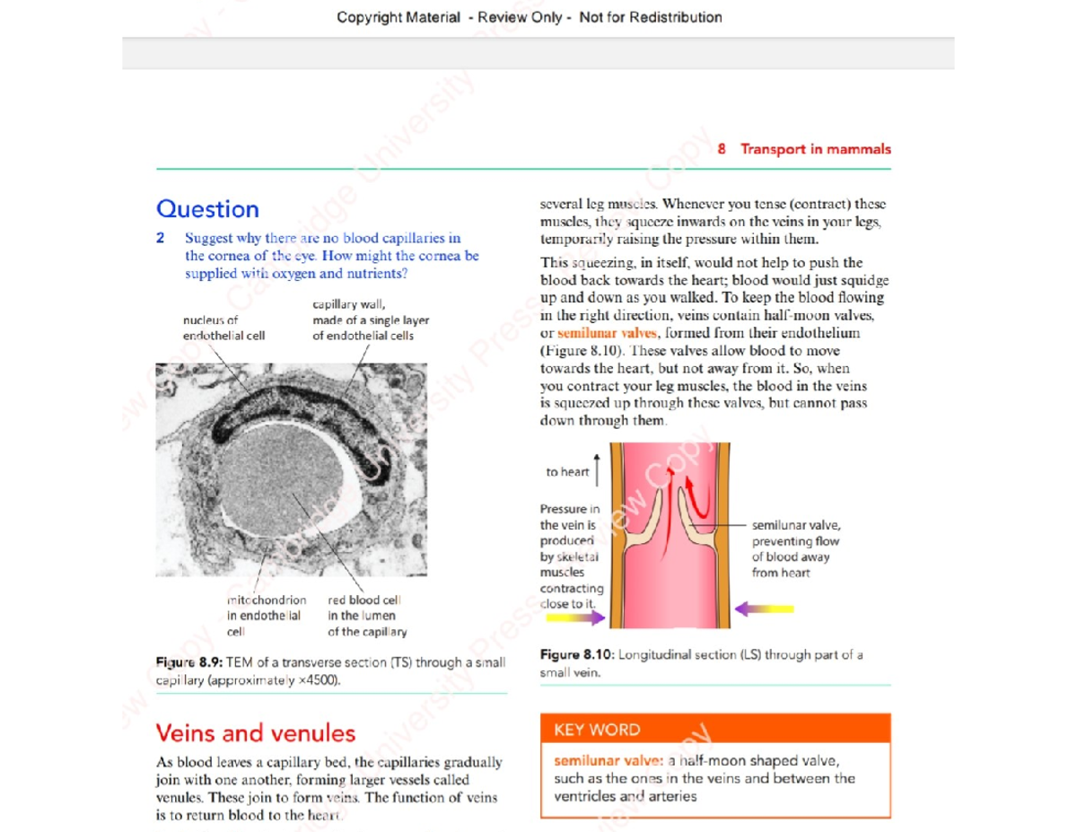 Transport in mammals - Notes - Studocu
