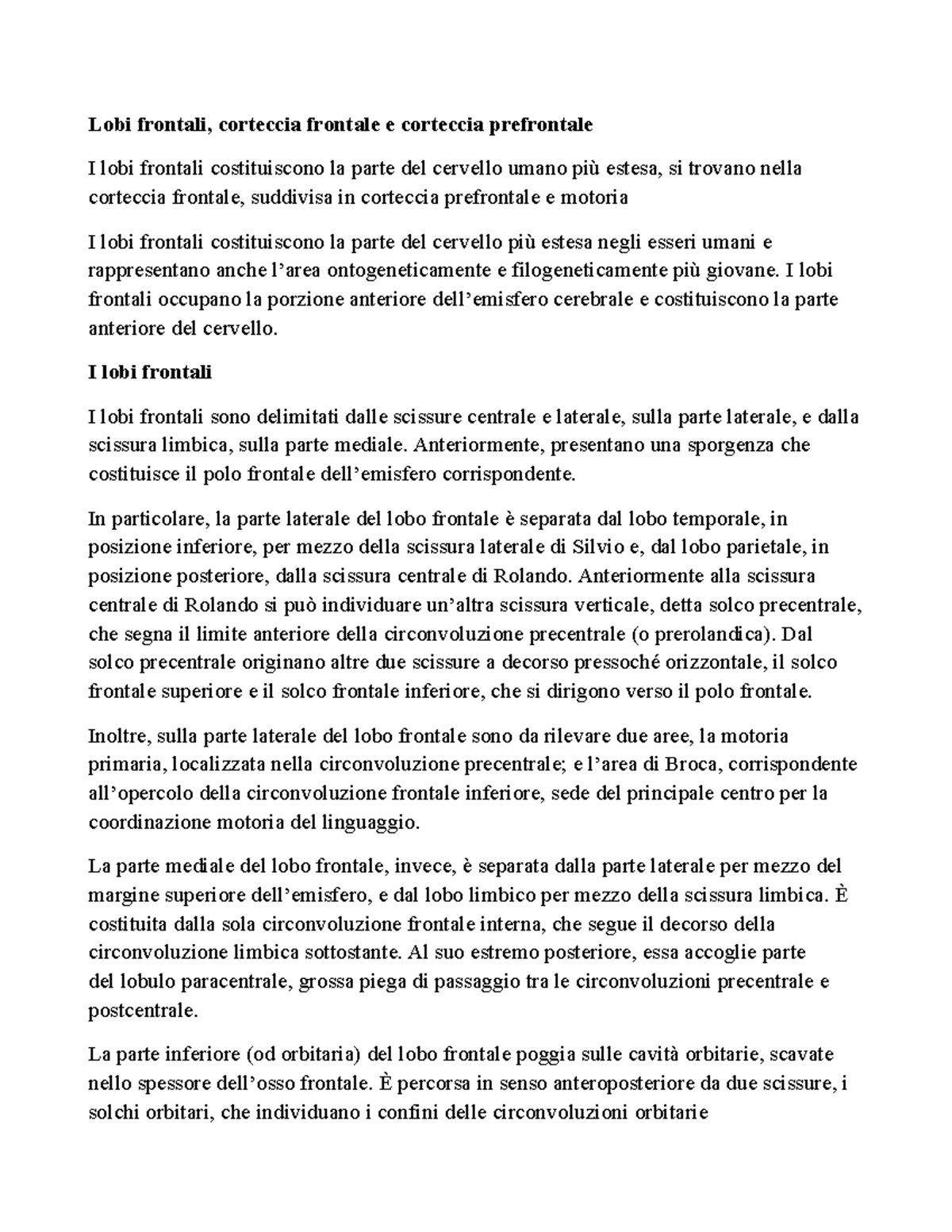Lobi frontali - I lobi - Studocu