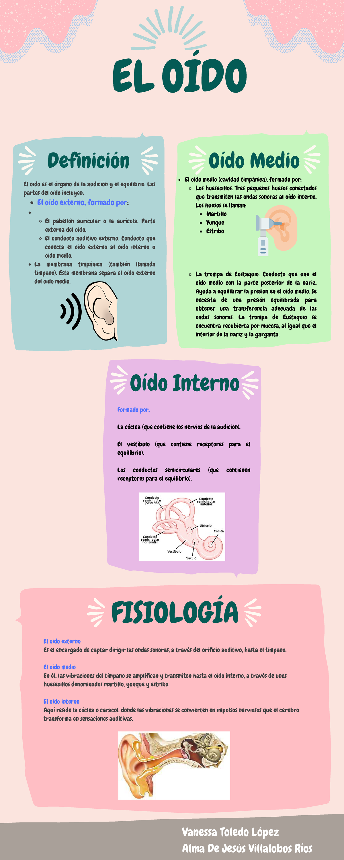Oído - Infografía del oído - Definición Oído Medio FISIOLOGÍA Oído ...