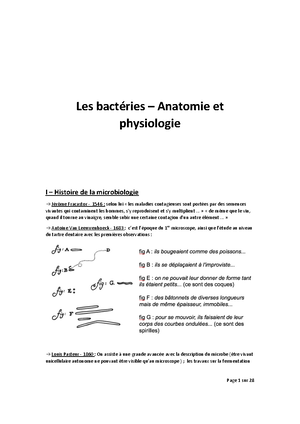 Classification des mycetes - Matière : Parasitologie Cours n°8a du 29 ...