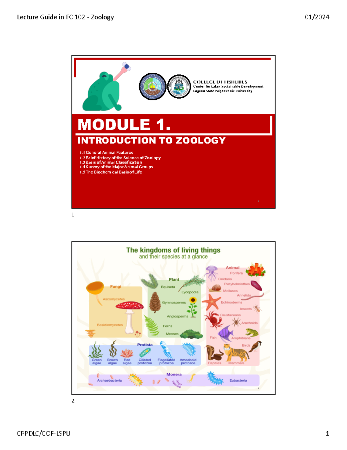 UNIT 1 Intro TO Zoology - Summary 2022 VCE Chemistry Units 1&2 [1.1.2 ...