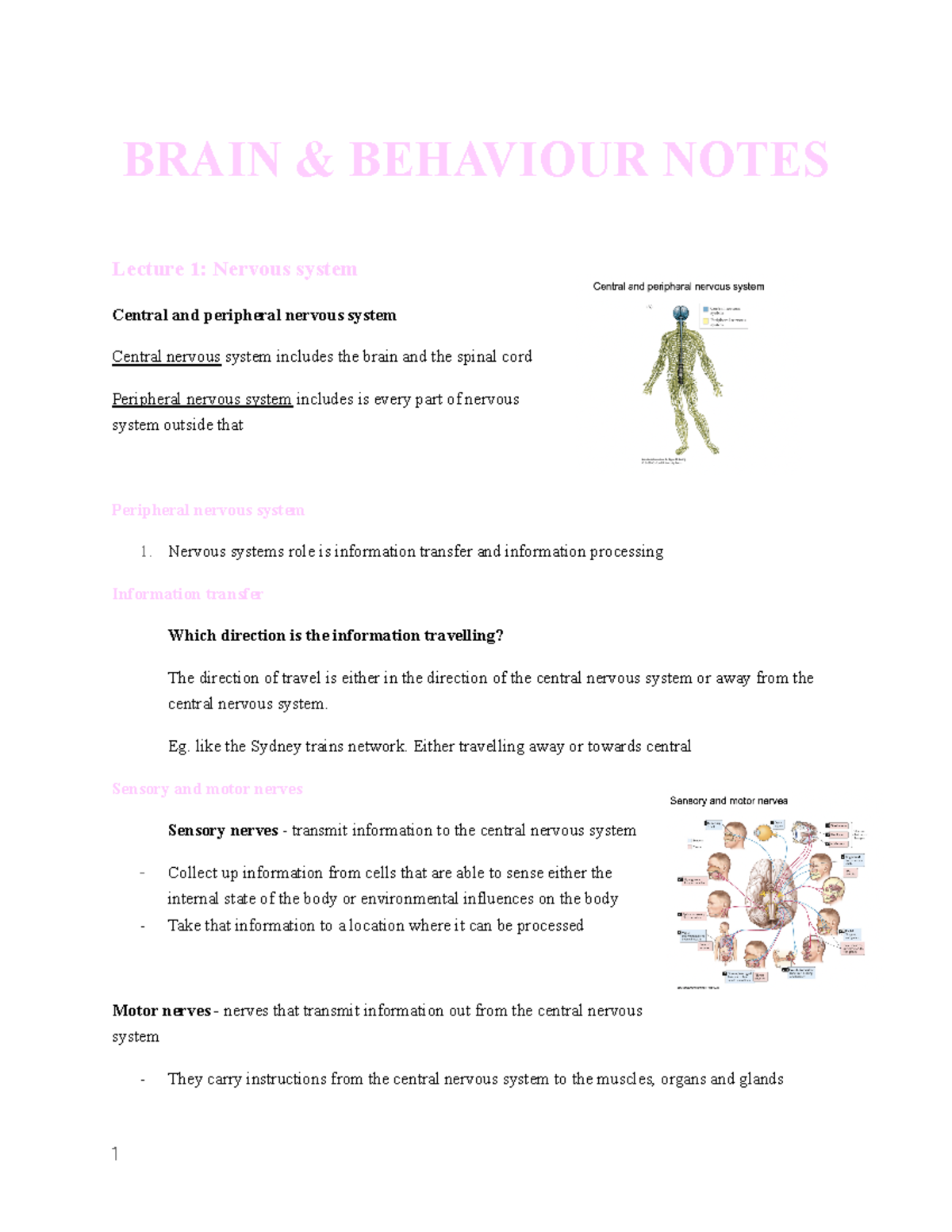Brain and behaviour notes - BRAIN & BEHAVIOUR NOTES Lecture 1: Nervous ...