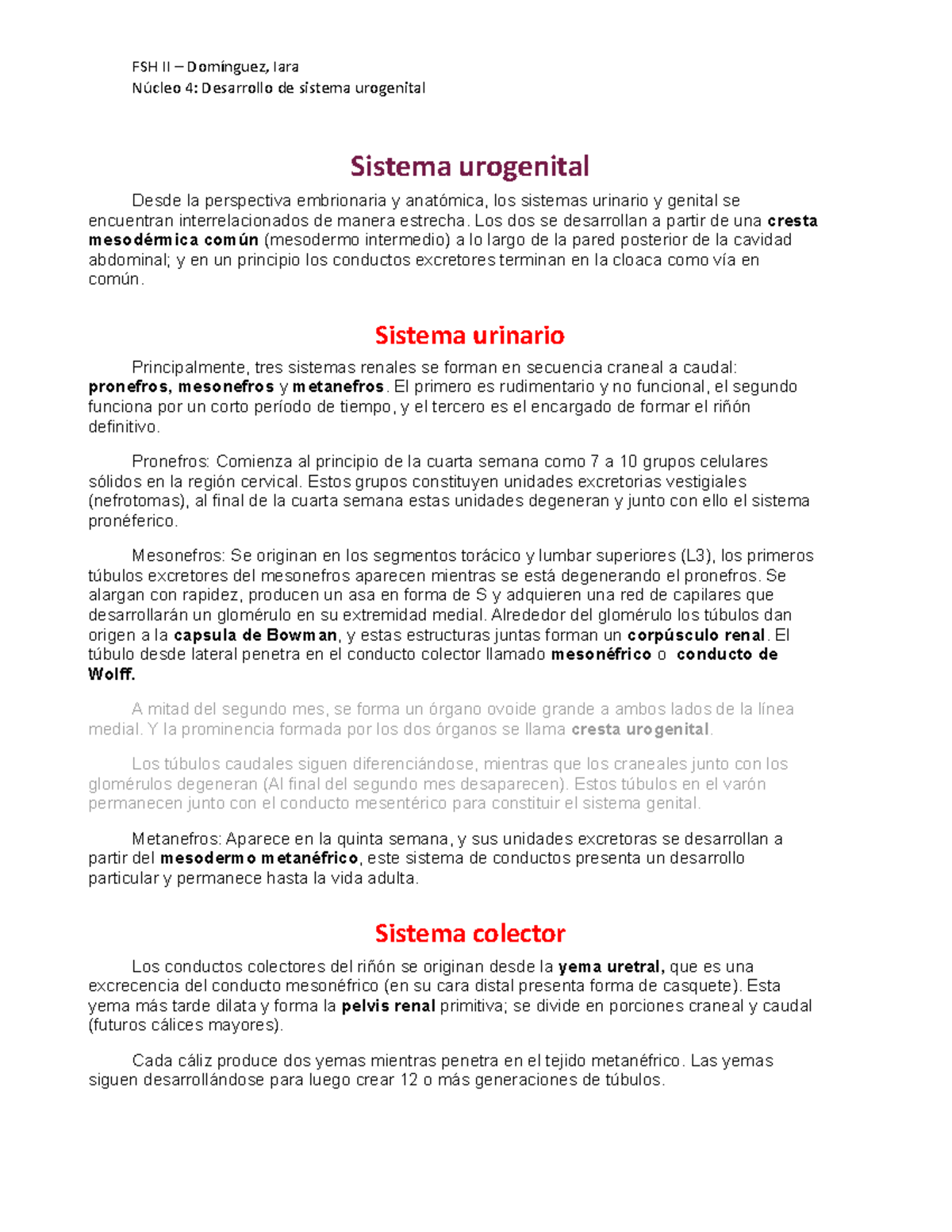 Nucleo 4 - Sistema urogenital - Núcleo 4: Desarrollo de sistema ...
