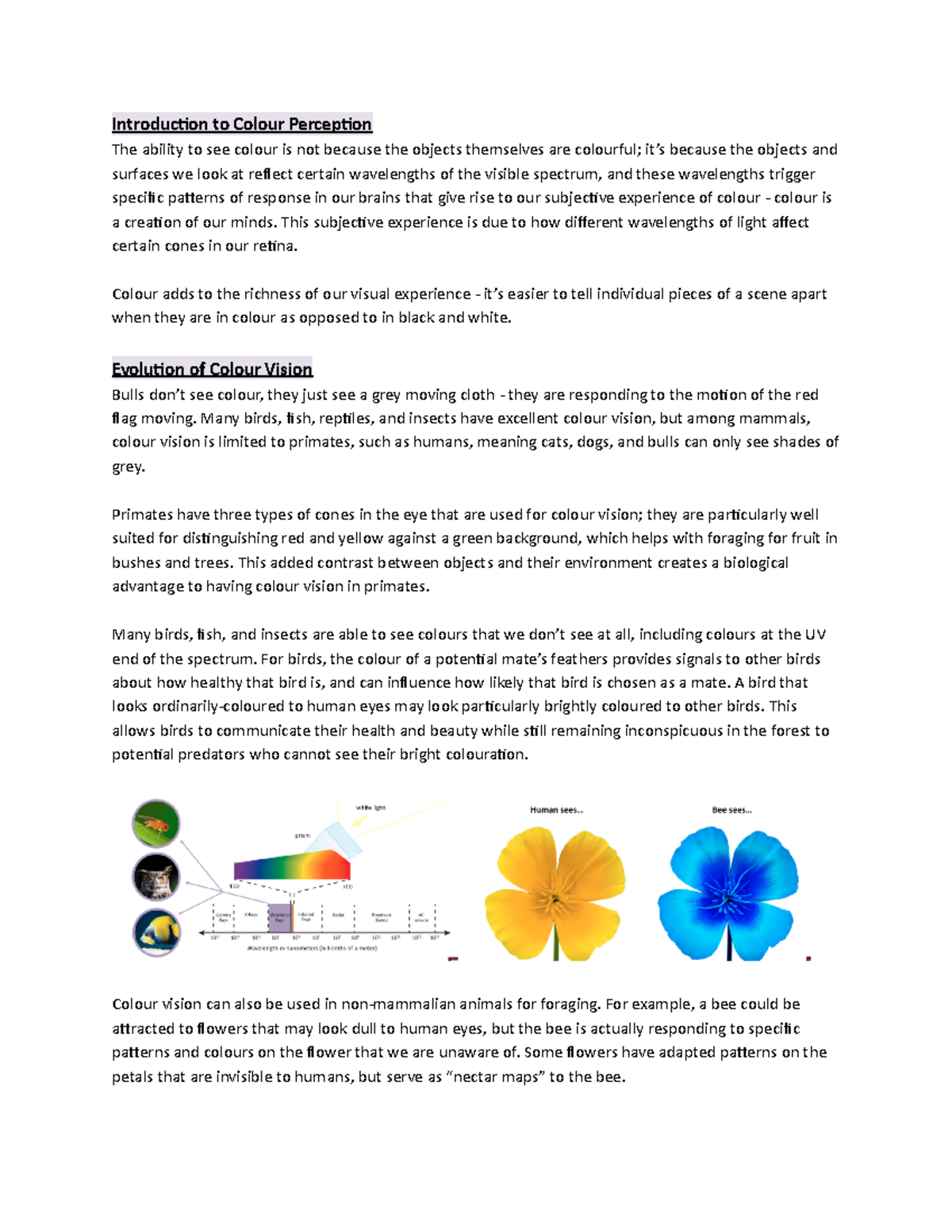 Colour perception module notes - Introducon to Colour Percepon The ...