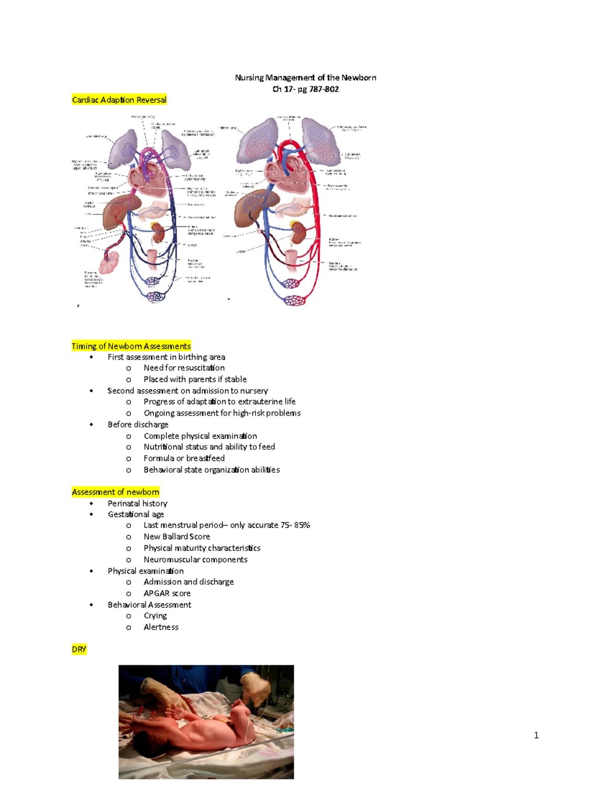 9- Ch 17- Nursing Management of the Newborn - Nursing Management of the ...