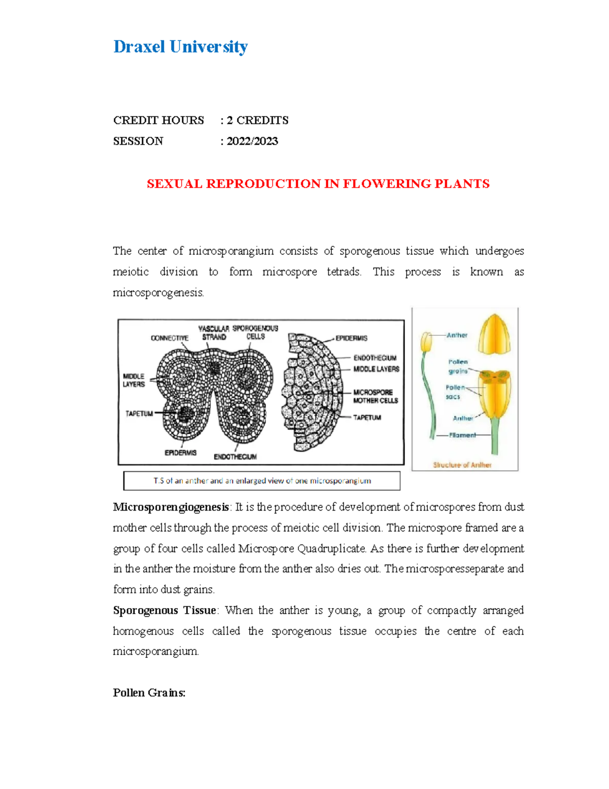 Lecturer Notes Sexual Reproduction in Flowering Plants Chapter 2 ...