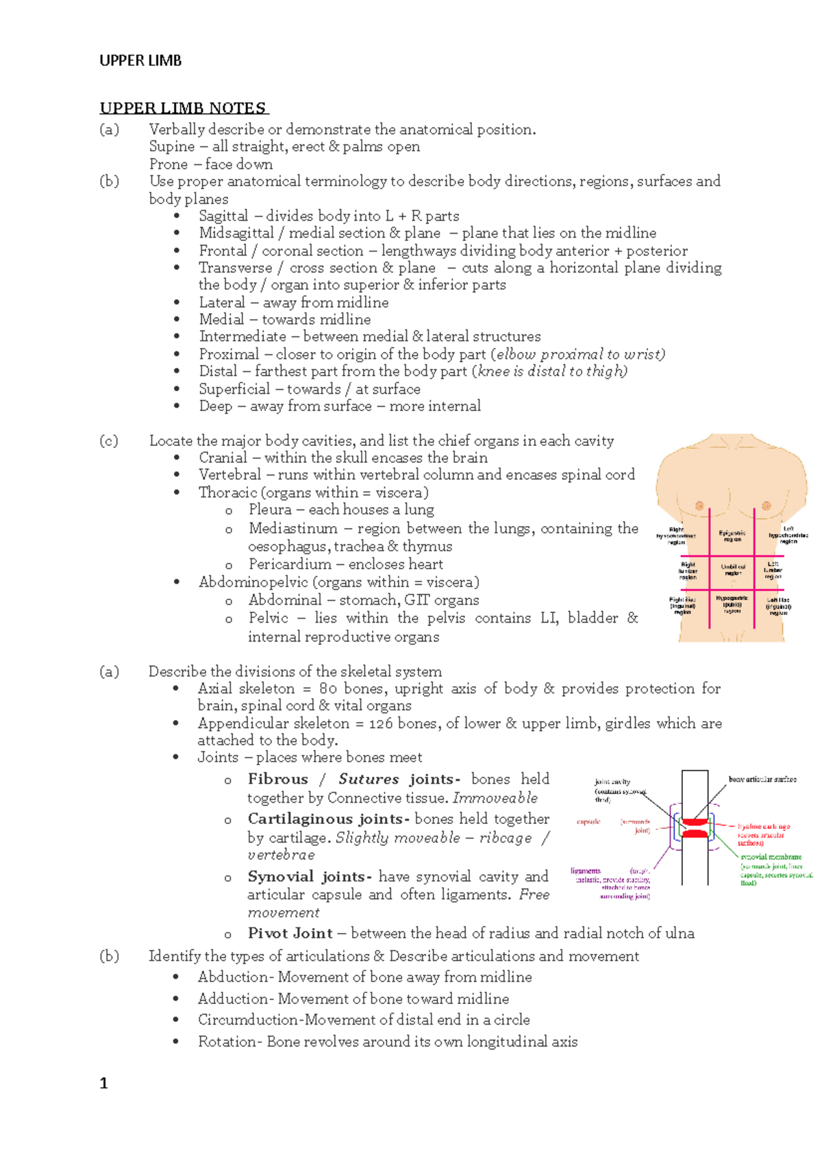 UPPER LIMB ANATOMY - UPPER LIMB NOTES (a) Verbally describe or ...
