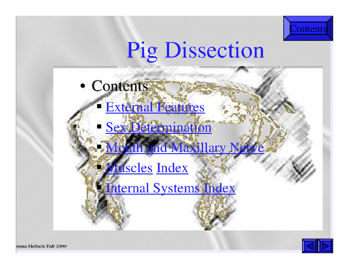 2006 PIG - Isbshxhxhs - Pig Dissection • ContentsContents External ...