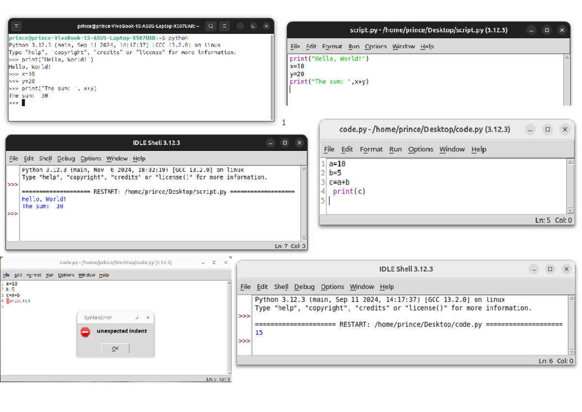 Programming with python - (3.12) pythor Python 3.12 (main, Sep 11 2024 ...