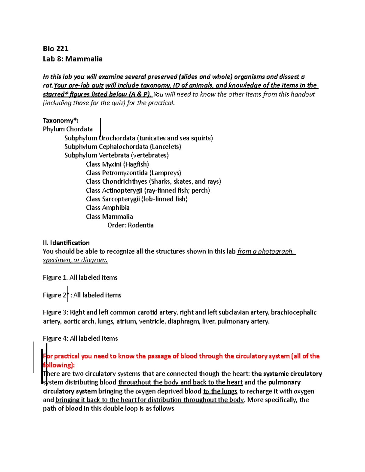 Zoology lab handout 8-1(2022) - Bio 221 Lab 8: Mammalia In this lab you ...
