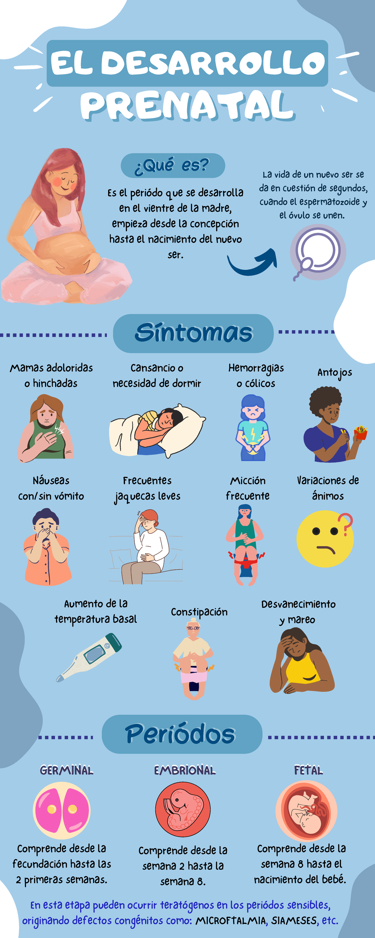 Semana 5 -Infografía - EL DESARROLLO PRENATAL PRENATAL ¿Qué es? ¿Qué es ...