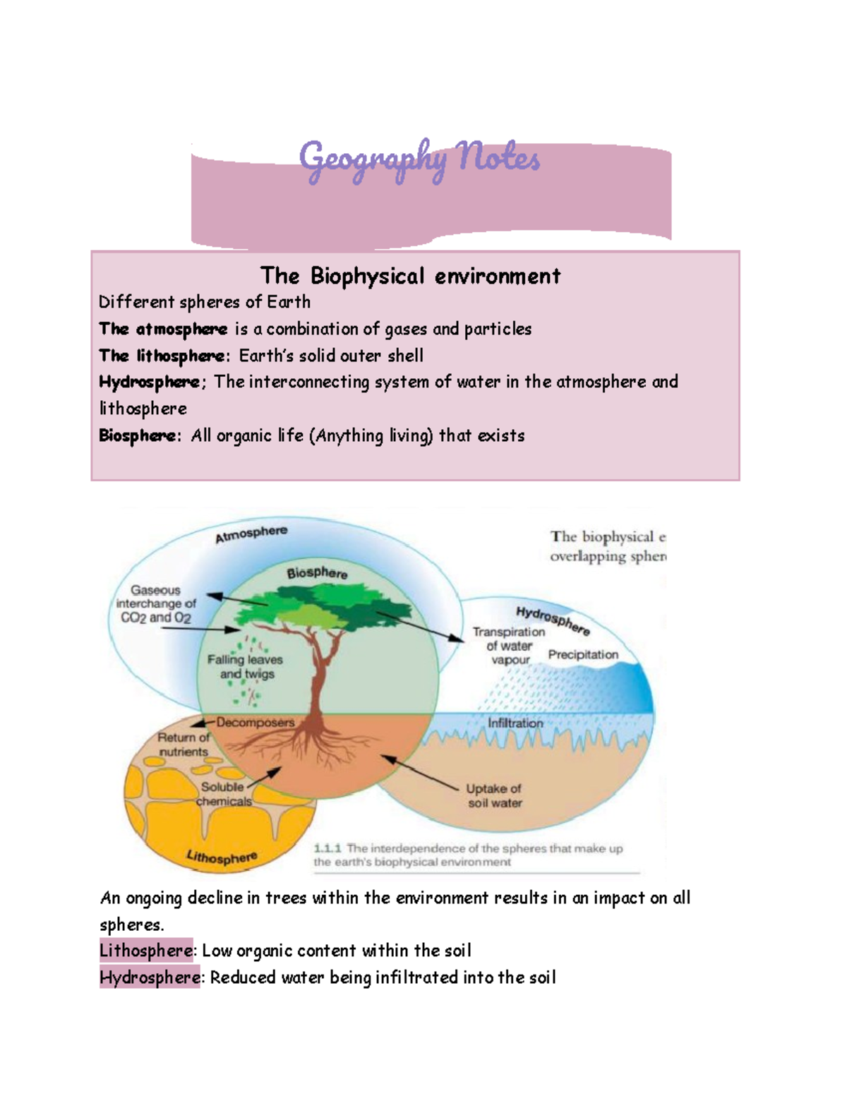 Geography Notes - Geography Notes The Biophysical environment Different ...