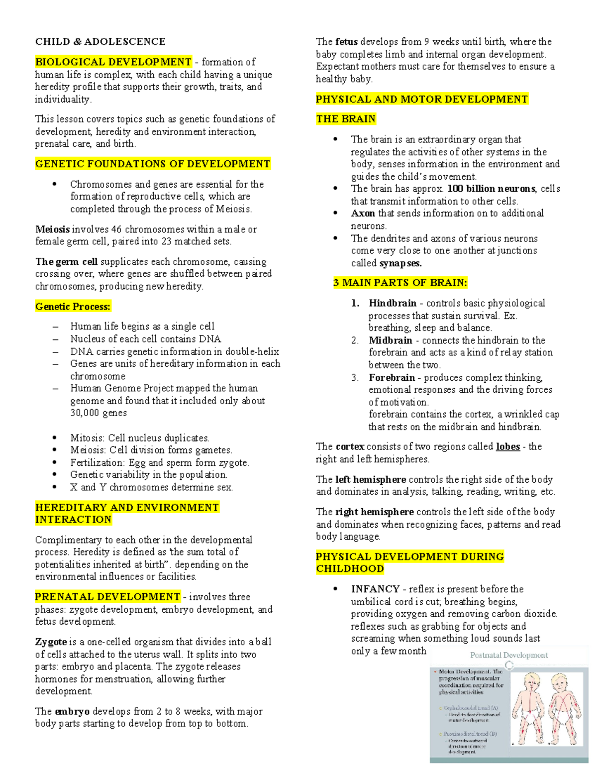 Child Adolescence Midterm Reviewer - CHILD & ADOLESCENCE BIOLOGICAL ...