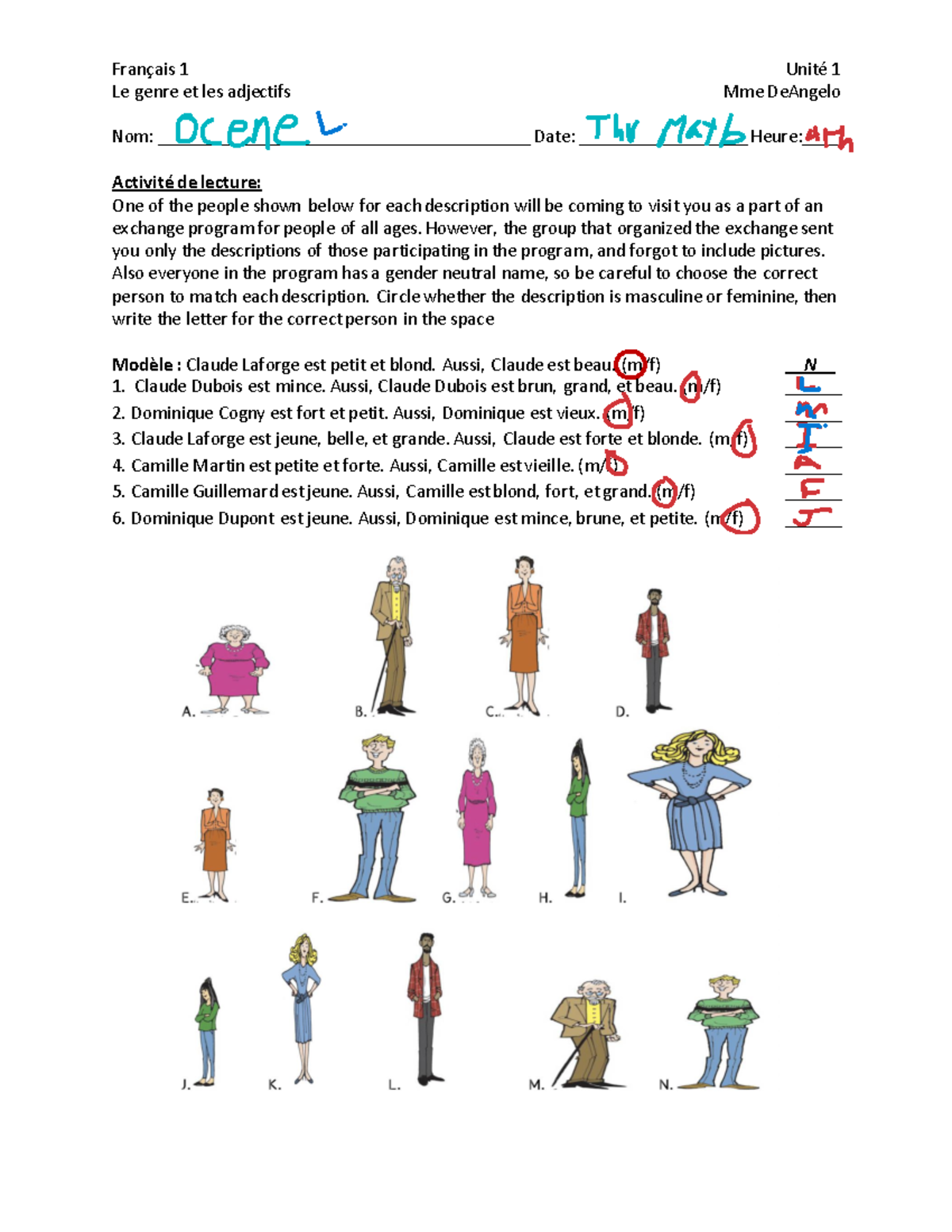 Le genre et les adjectifs activities - Le genre et les adjectifs Mme ...