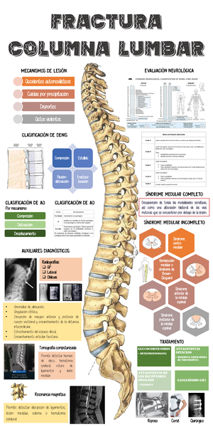 Fractura Clavicula - Anatomía de clavícula, mecanismos de lesión ...