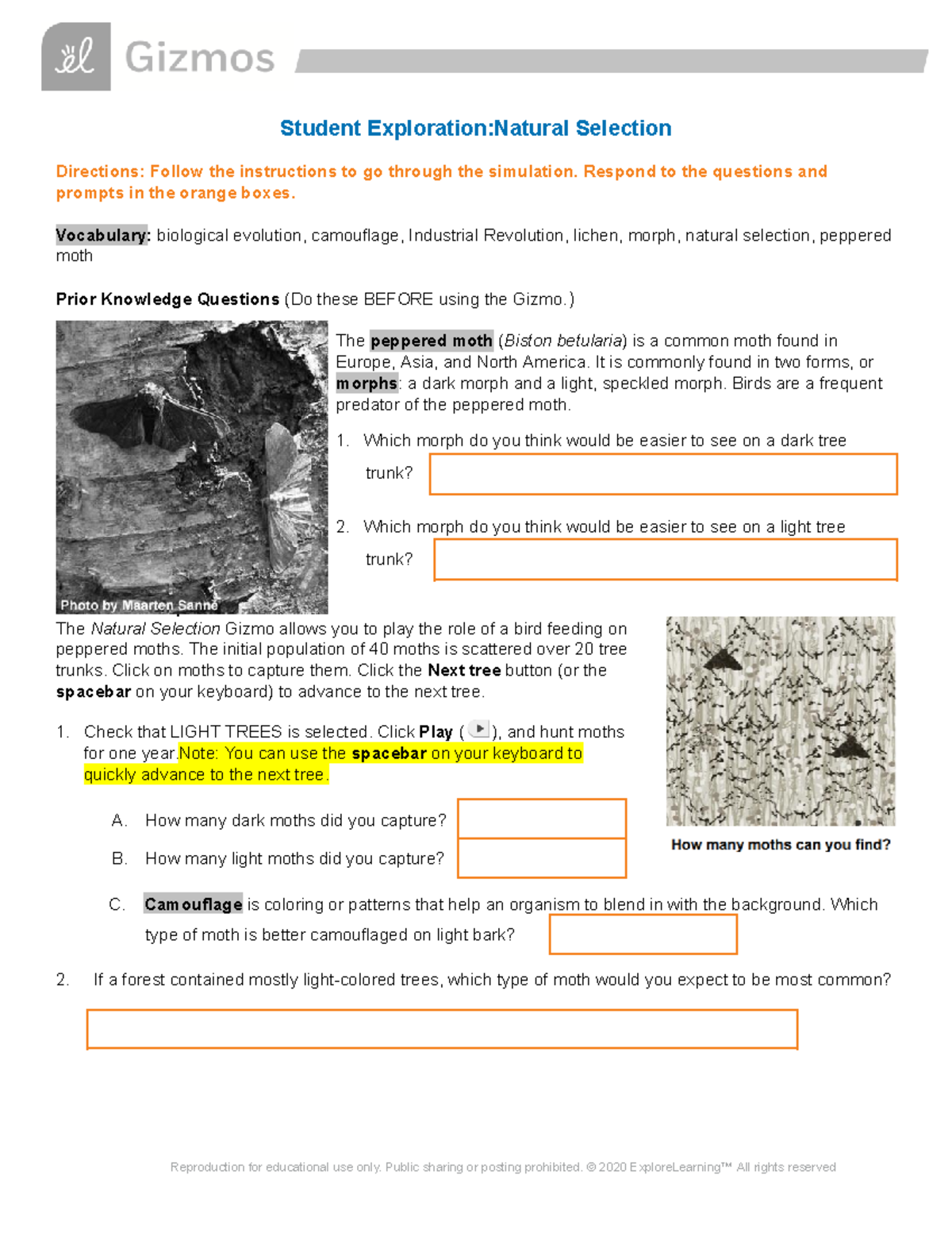 Saahil Fazal - Master Natural Selection Gizmo Student Sheet - Student ...