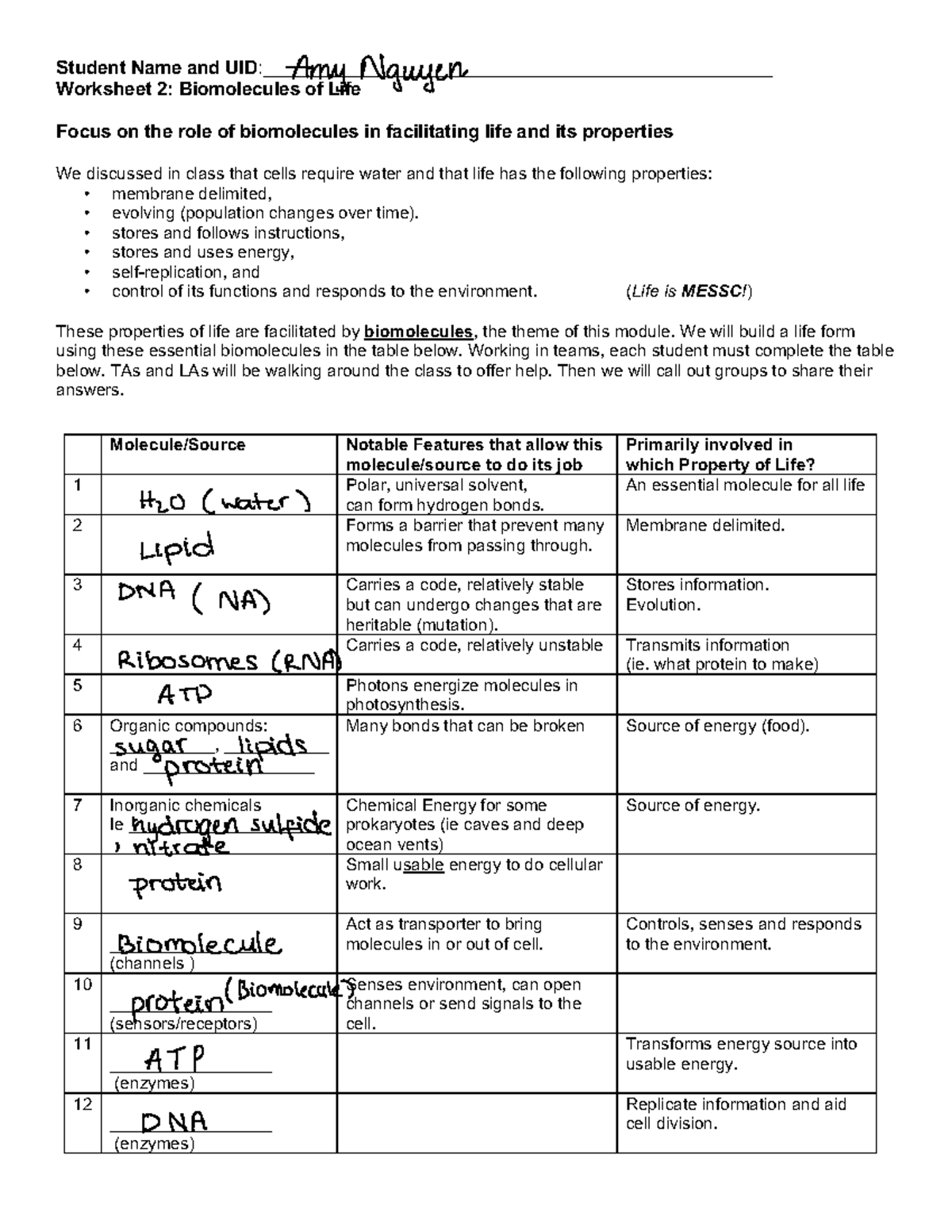 Worksheet+2+-+Biomolecules - Student Name and UID