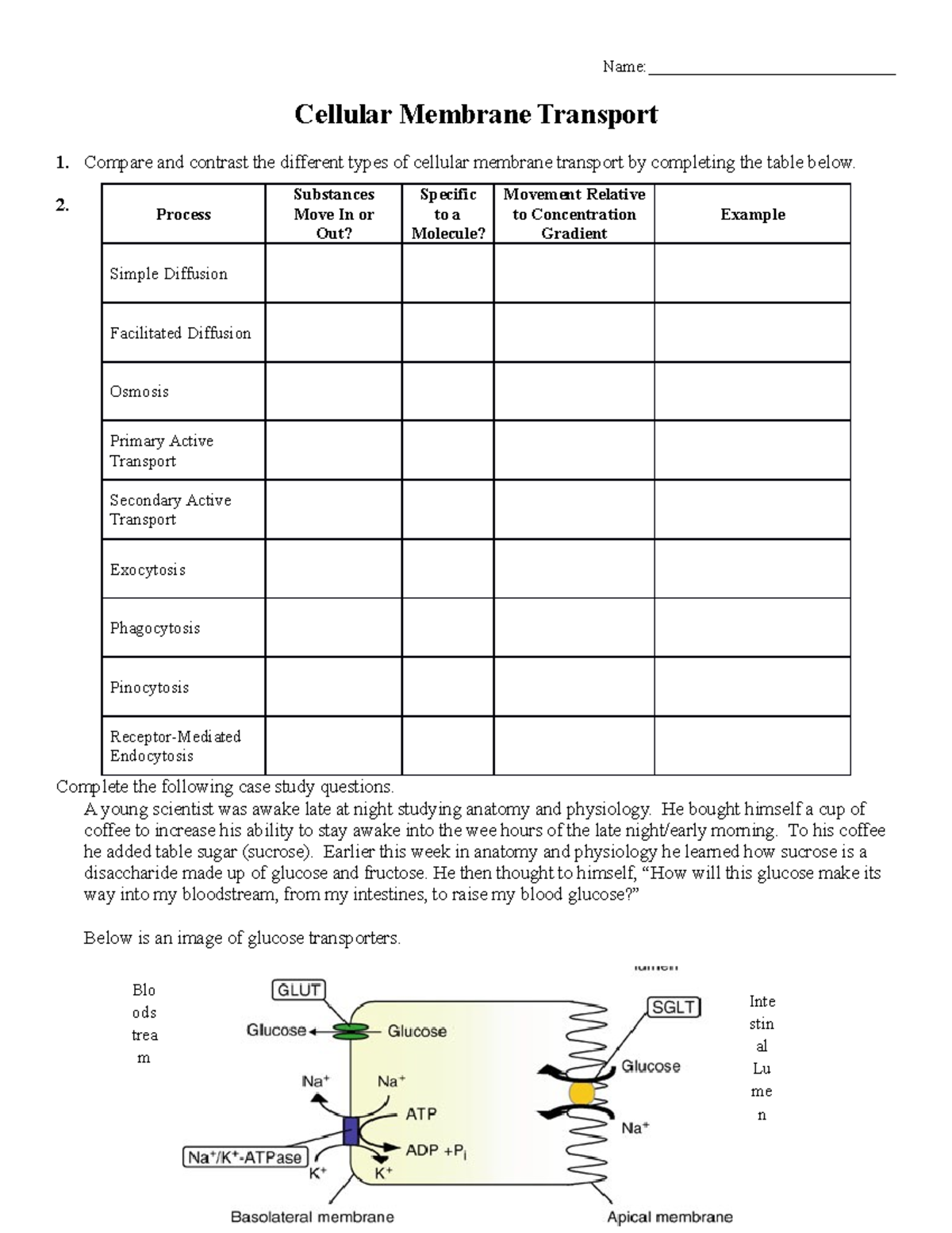 HSCI 101 Off Lab Assignment 2 Fall 2022 - Name ...