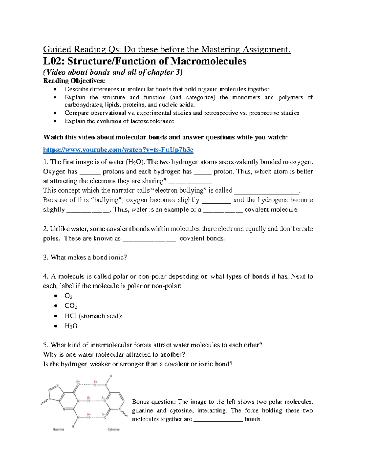 Lesson 2 GRQs Structure and Function of Macromolecules - Guided Reading ...