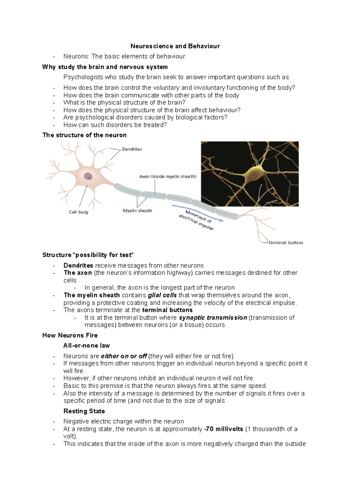 Chapter 5 - class notes - Neuroscience and Behaviour Neurons: The basic ...