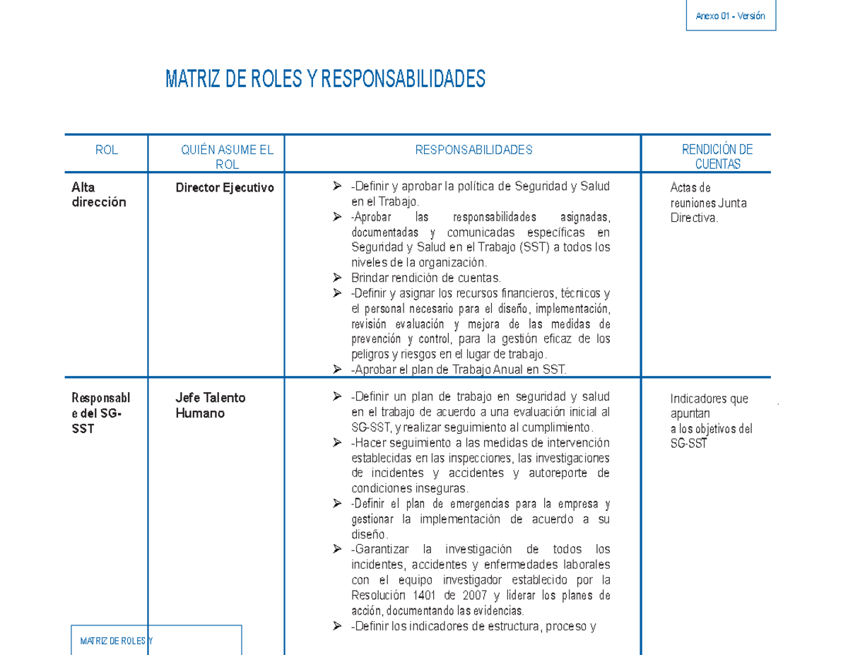 Matriz DE Roles Y R - ACTIVIDAD - MATRIZ DE ROLES Y RESPONSABILIDADES ...
