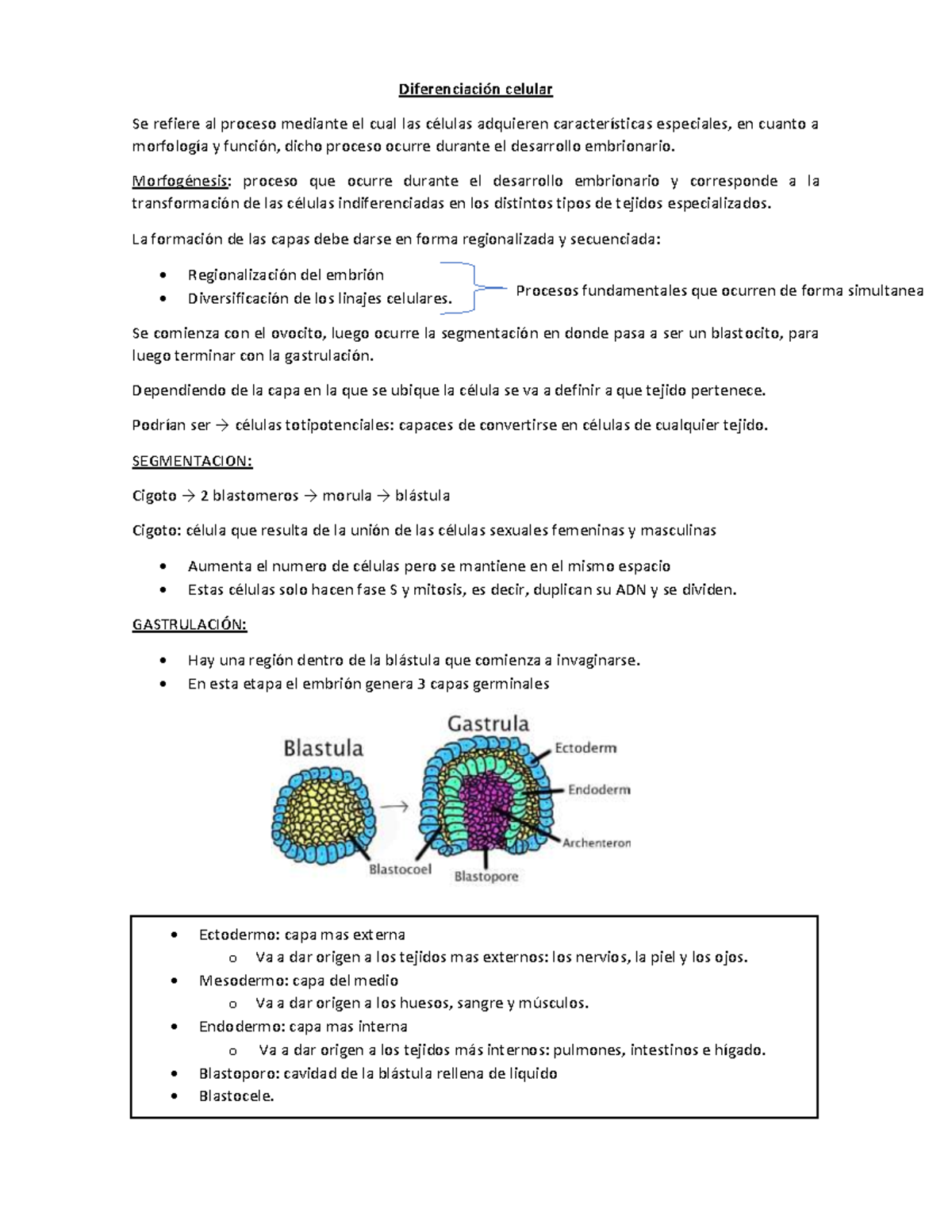 Diferenciación celular - Warning: TT: undefined function: 32 Warning: TT: undefined function: 32 ...