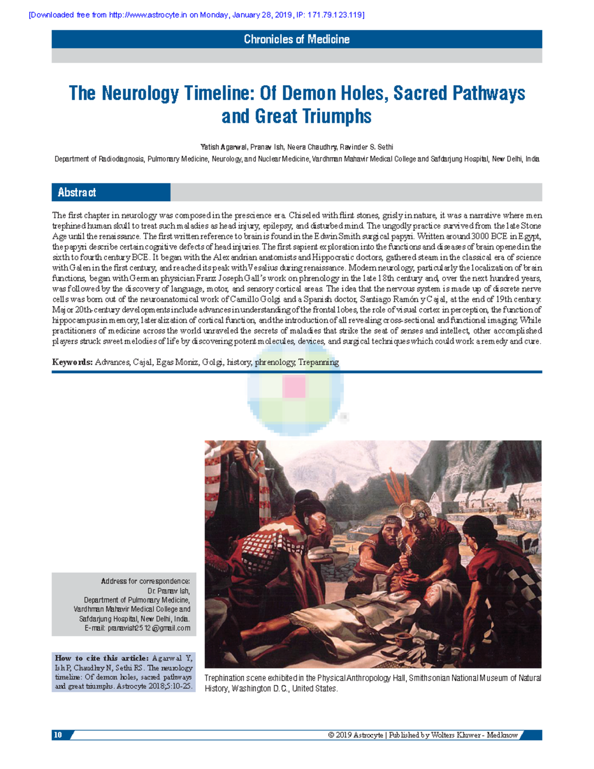 The neurology timeline Of demon holes sacred pathways and great ...