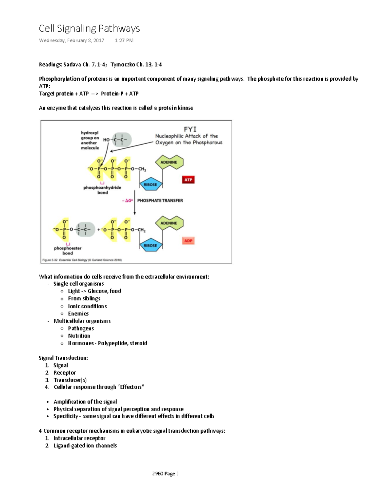 Cell Signaling Pathways - Cell Signaling Pathways Wednesday, February 8 ...