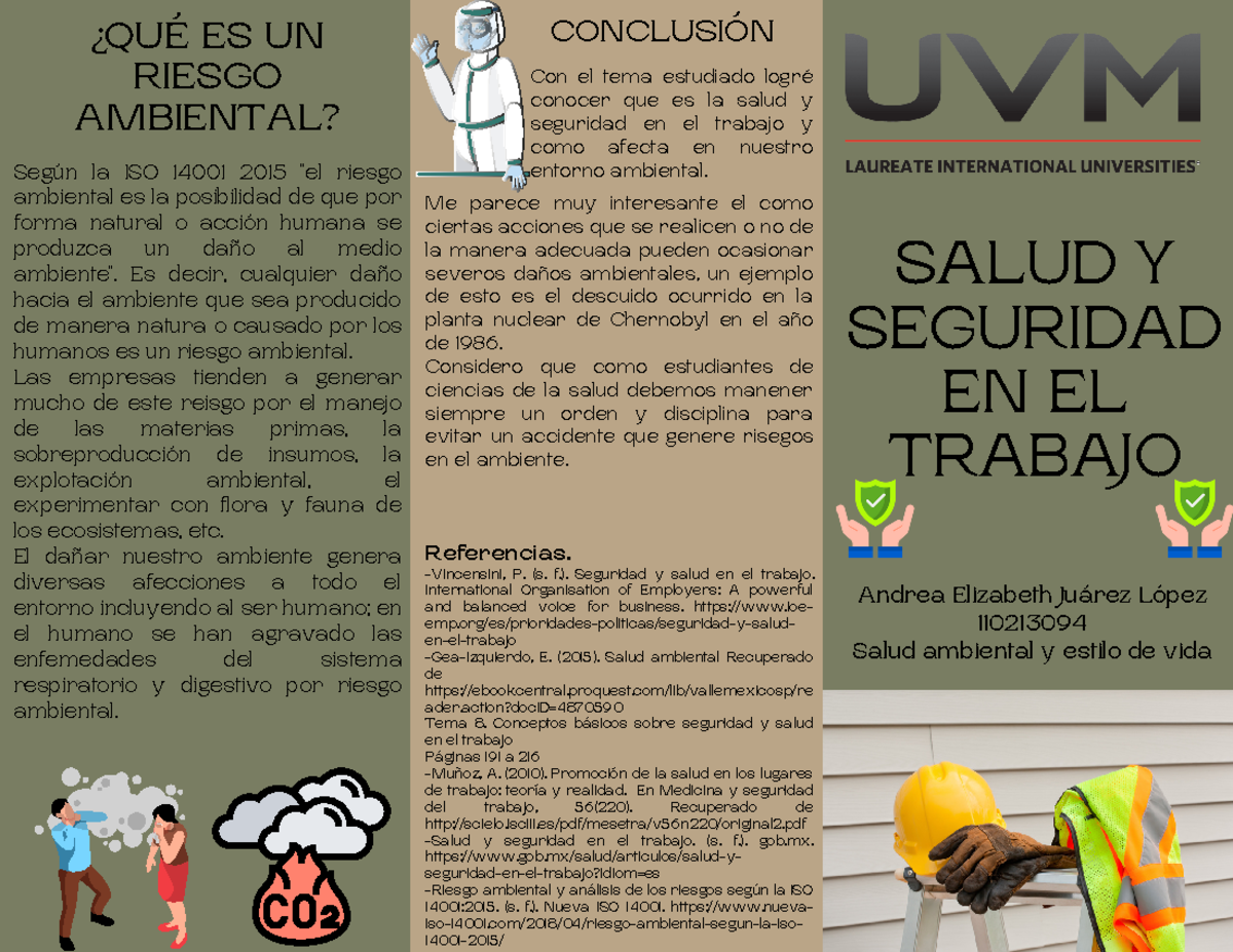 A7 SAEV - salud ambiental y estilo de vida - SALUD Y SEGURIDAD EN EL TRABAJO ¿QUÉ ES UN RIESGO ...