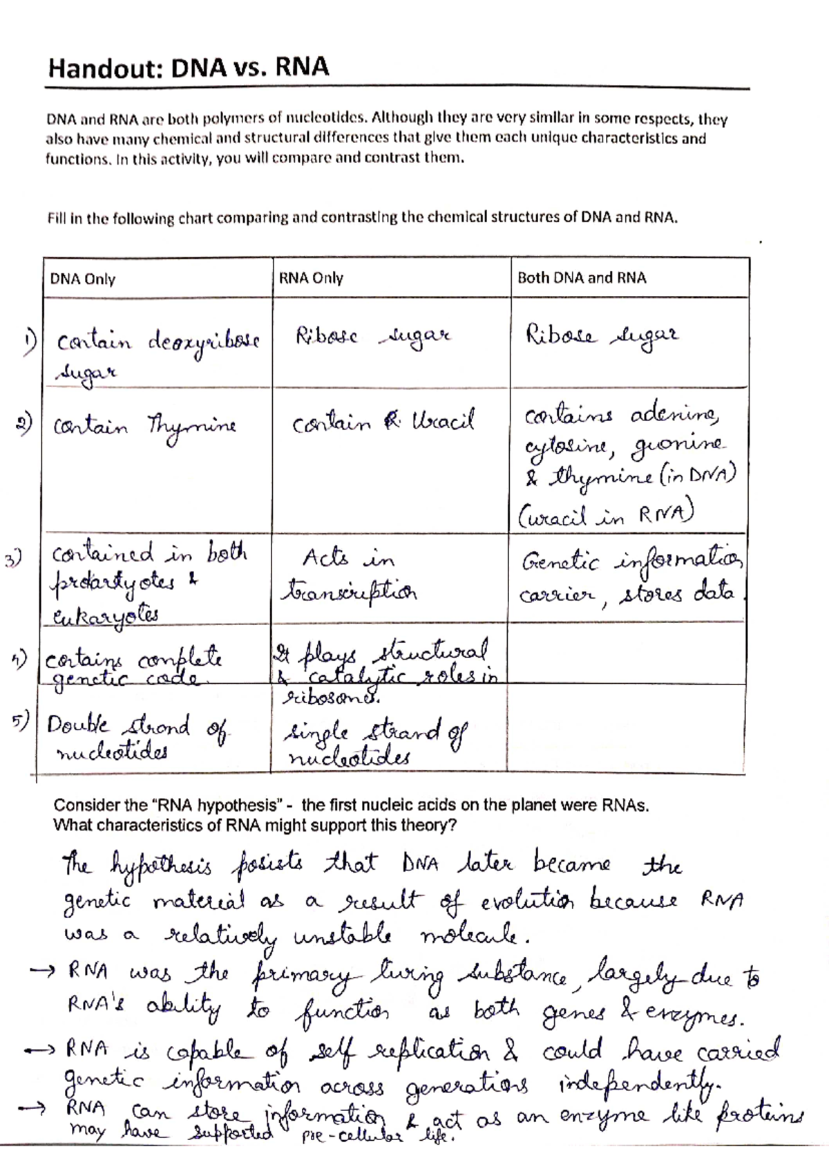 Handout- DNA vs RNA - There are two differences that distinguish DNA ...