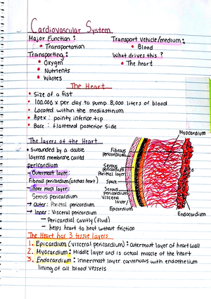 Lab two - anatomy and physiology lab two notes - Lab two Blood ...