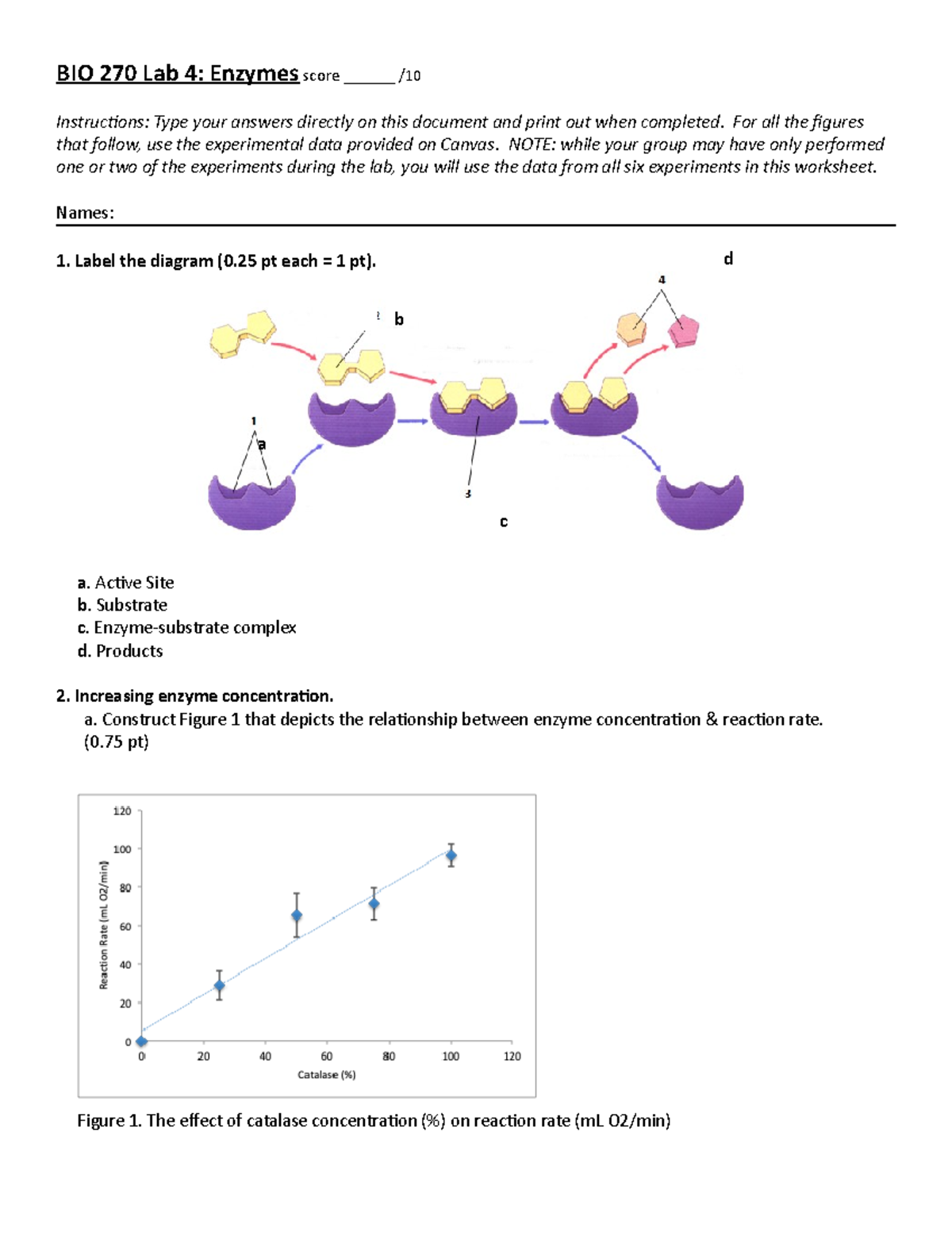 Lab 4 Enzymes - From Dr. Garrison - BIO 270 Lab 4: Enzymes score ...