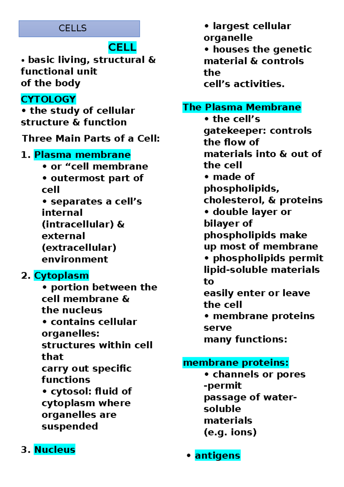 Anaphy - cells - CELL • basic living, structural & functional unit of ...