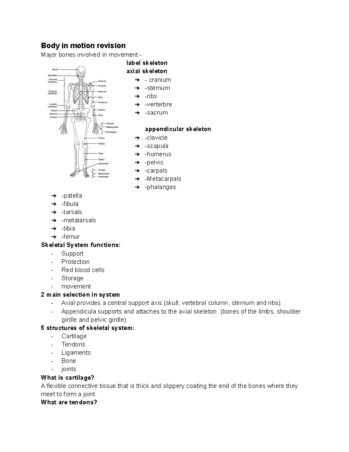 Pdhpe test notes - Body in motion revision Major bones involved in ...