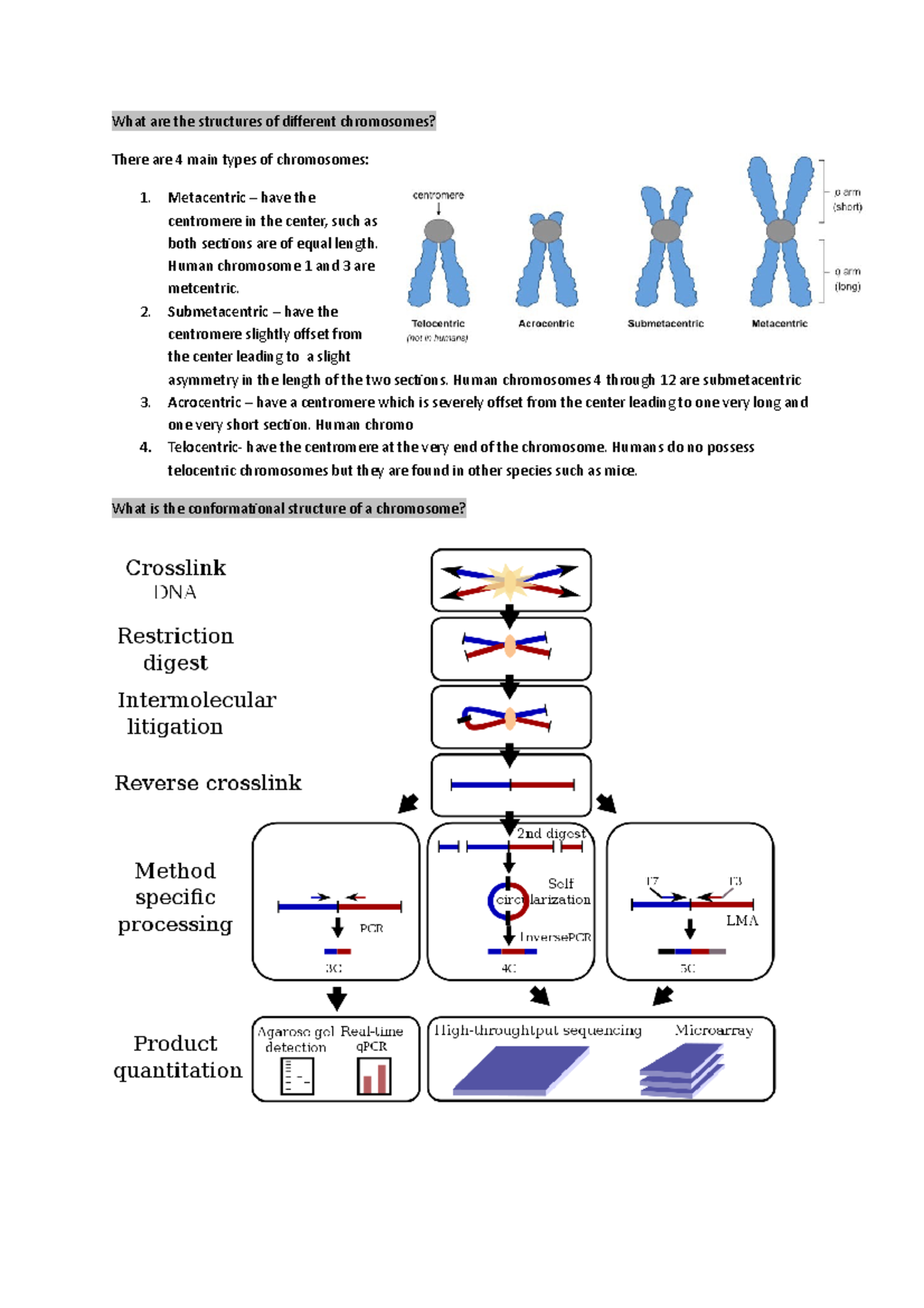 Cytogenetics - What are the structures of different chromosomes? There ...