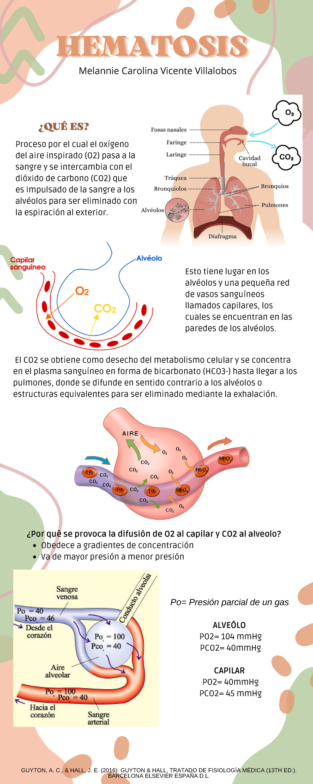 Hematosis - Melannie Vicente - HEMATOSISHEMATOSISHEMATOSIS ¿QUÉ ES? ¿QUÉ ES? Proceso por el cual ...