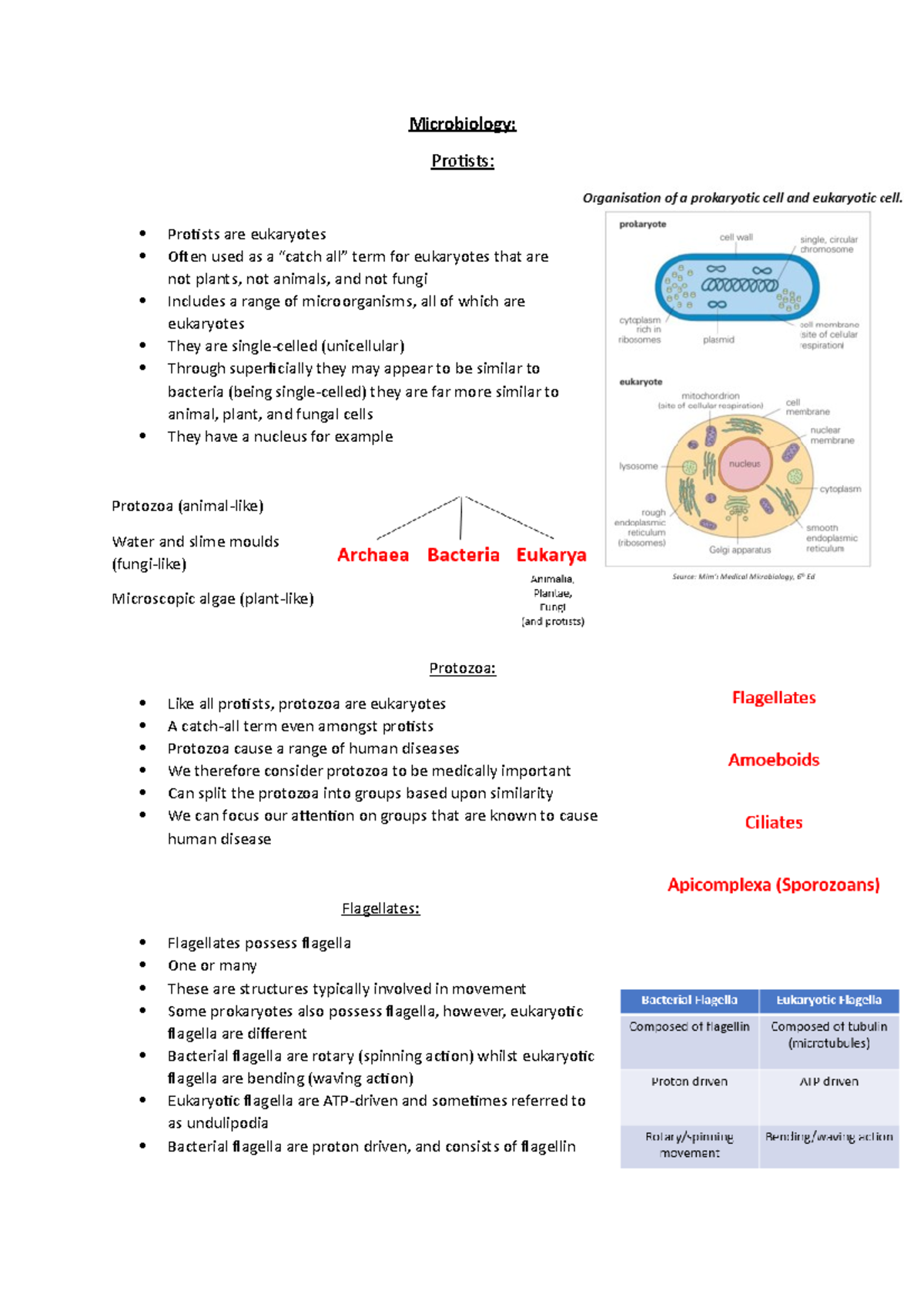 Lecture 5 - Protists - Microbiology: Protists: Protists are eukaryotes ...