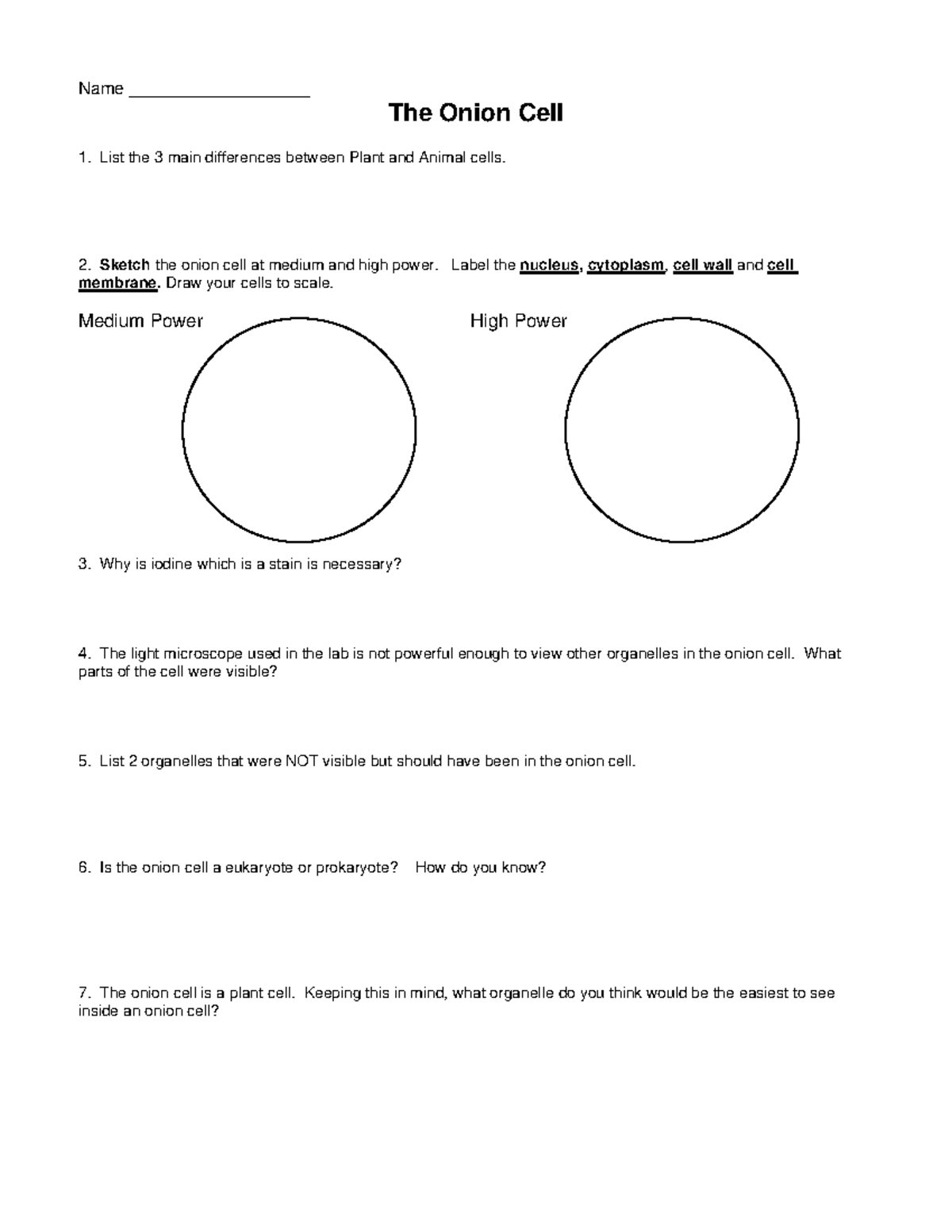 Onion cell-merged - Cell Questions - Name ___________________ The Onion Cell List the 3 main ...